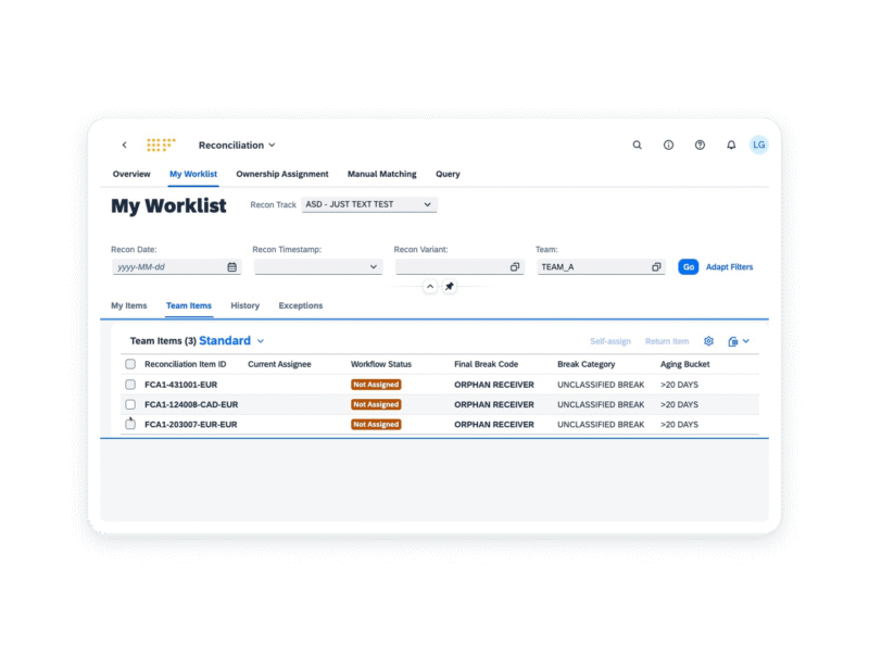 Optimise accounting & finance with Financial Control | SAP Fioneer