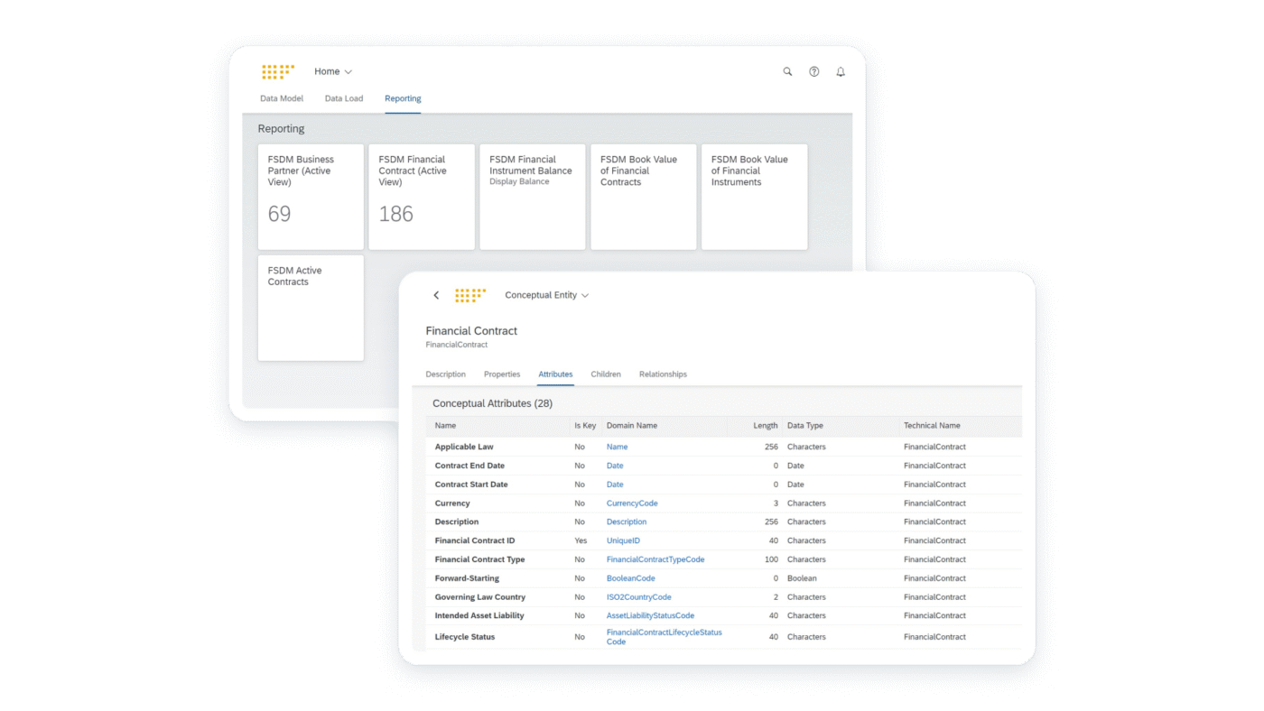 Financial Services Data Management | SAP Fioneer