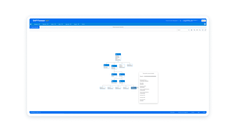 Virtual Account Management | SAP Fioneer