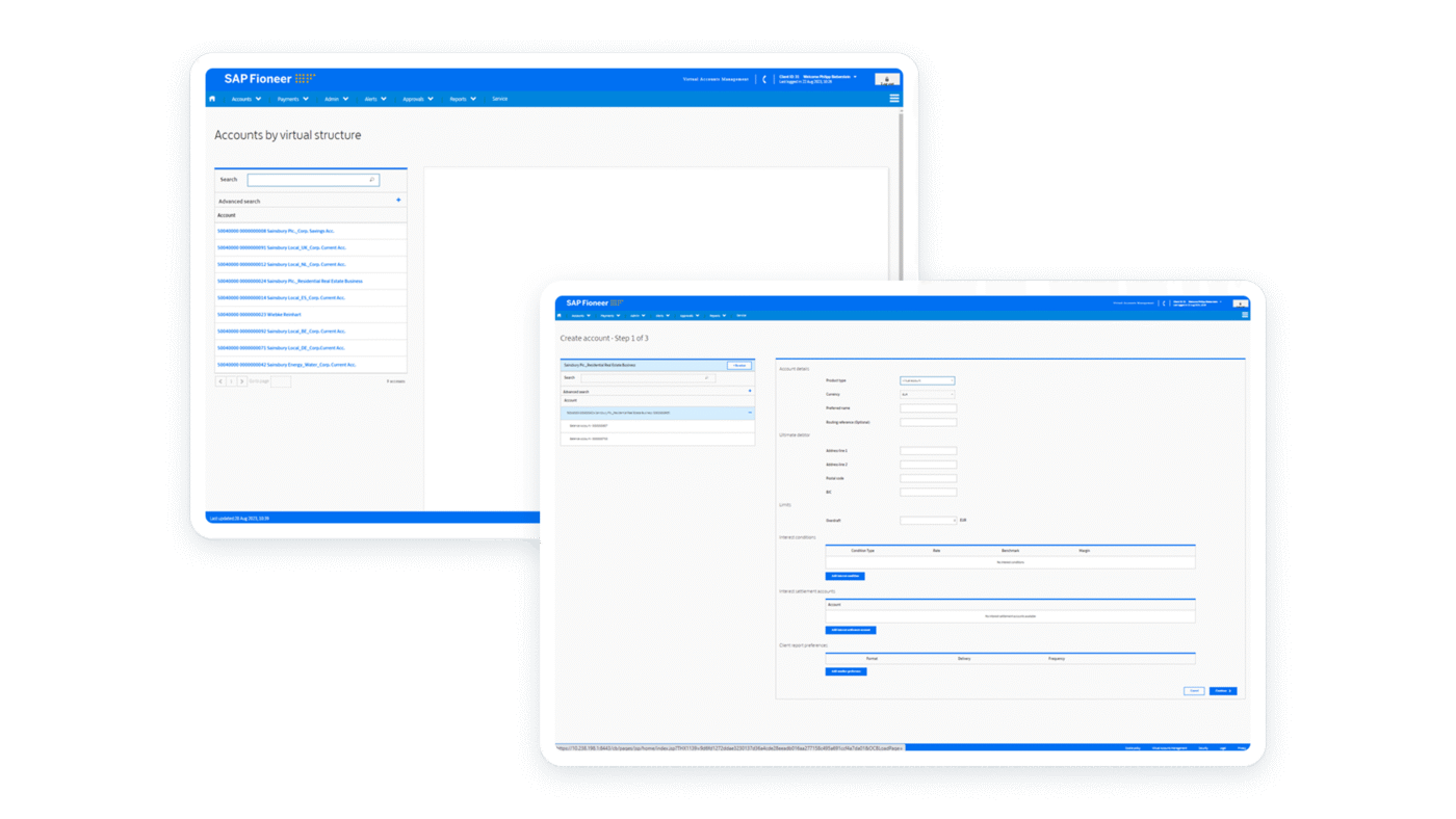 Virtual Account Management | SAP Fioneer