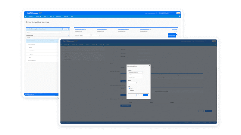 Virtual Account Management | SAP Fioneer